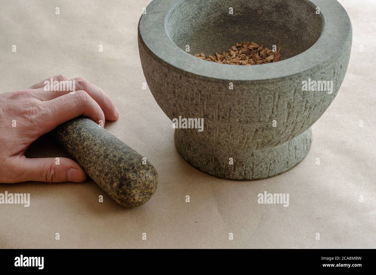 Hand grinds the dried roots of medicinal herbs in stone mortar ...