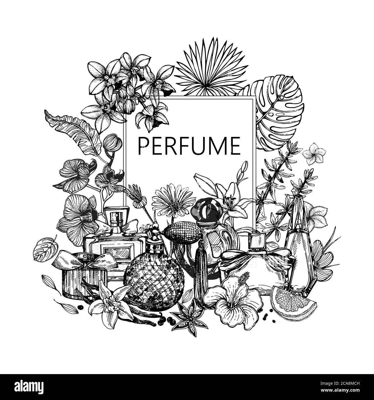 Poster / card / composition of hand drawn sketch style bottles of ...