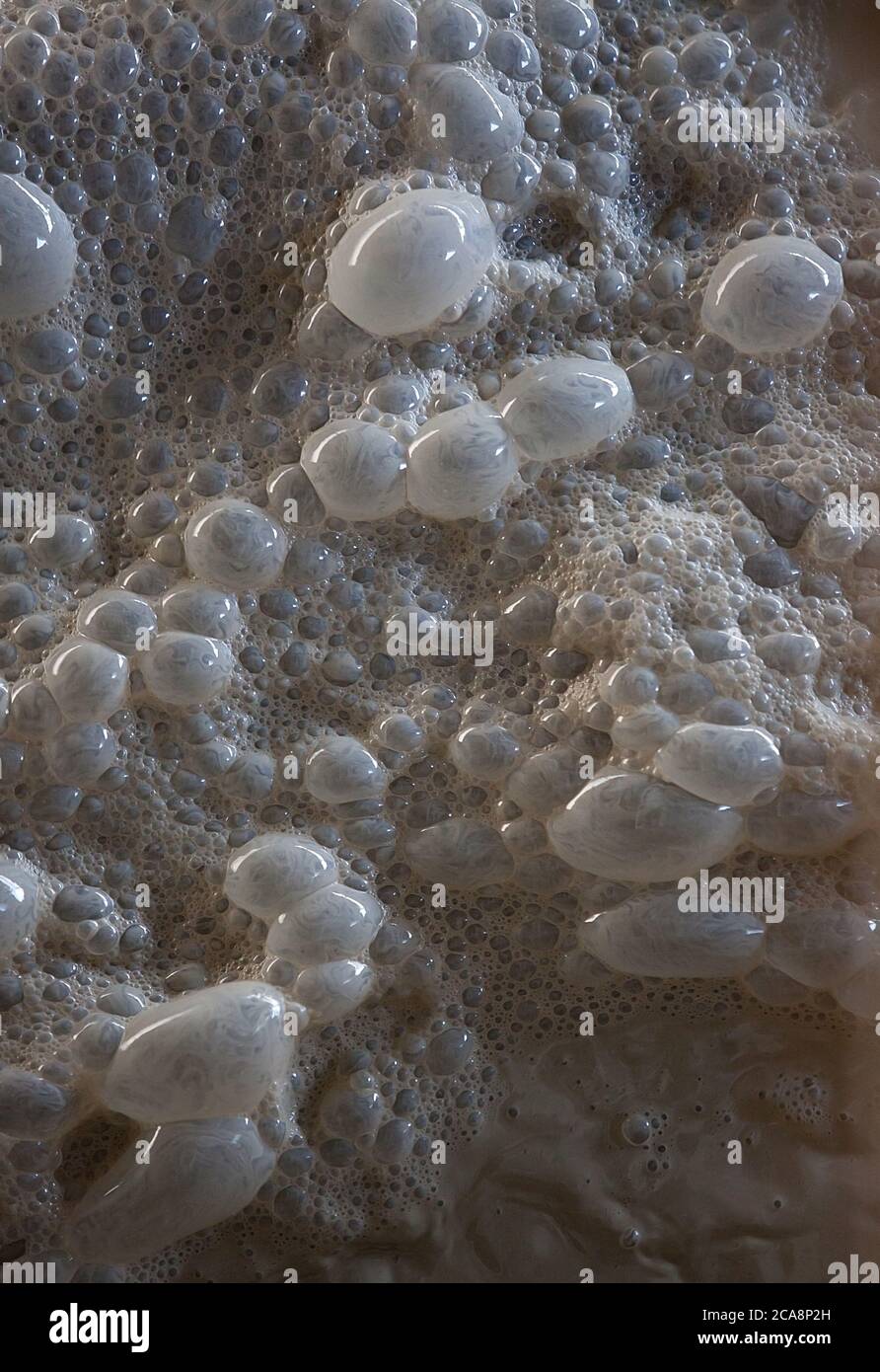 Gold mining process plant hi-res stock photography and images - Alamy
