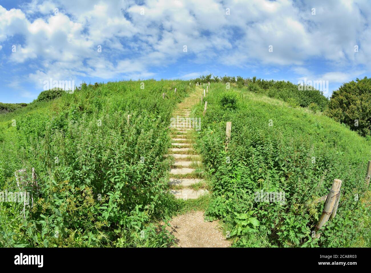 Natural wooden stairs complemented by gravel among the trees in the hot ...