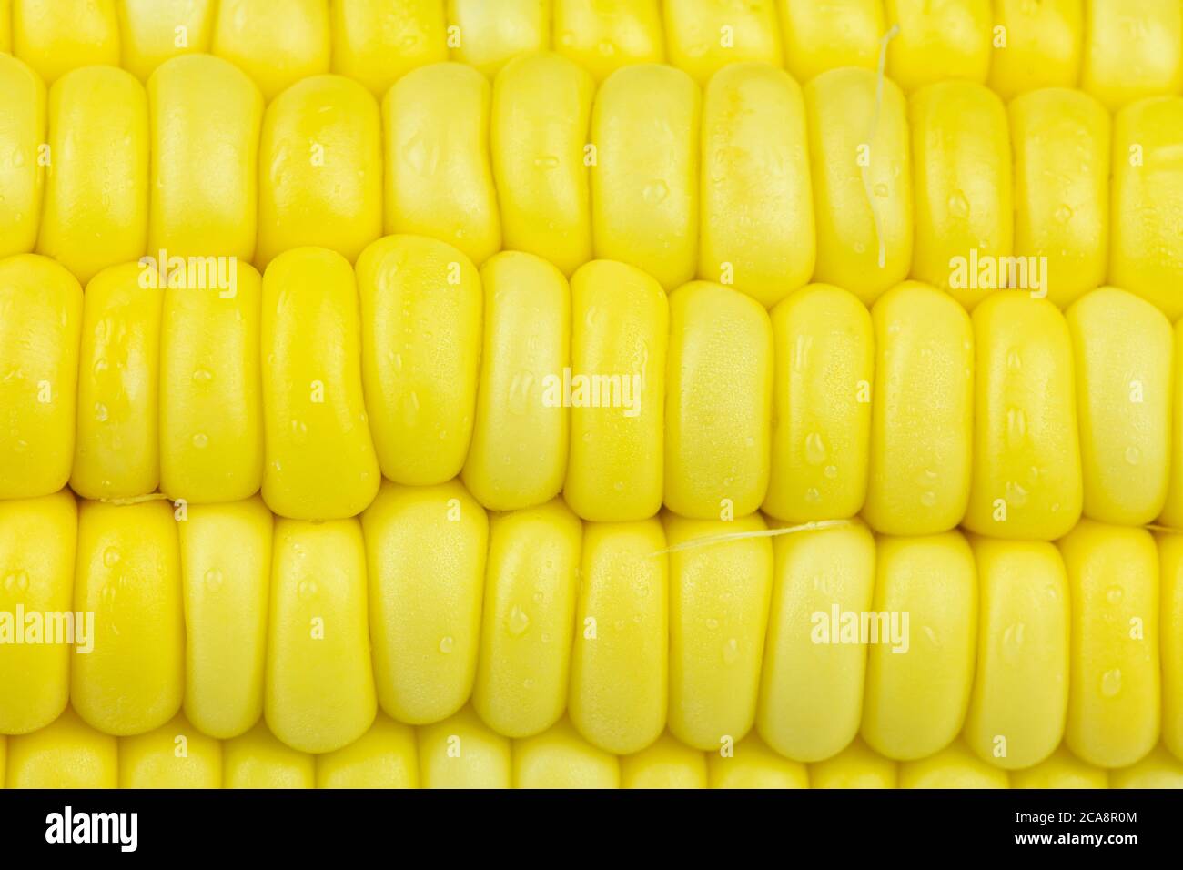 Corn seed texture hi-res stock photography and images - Alamy