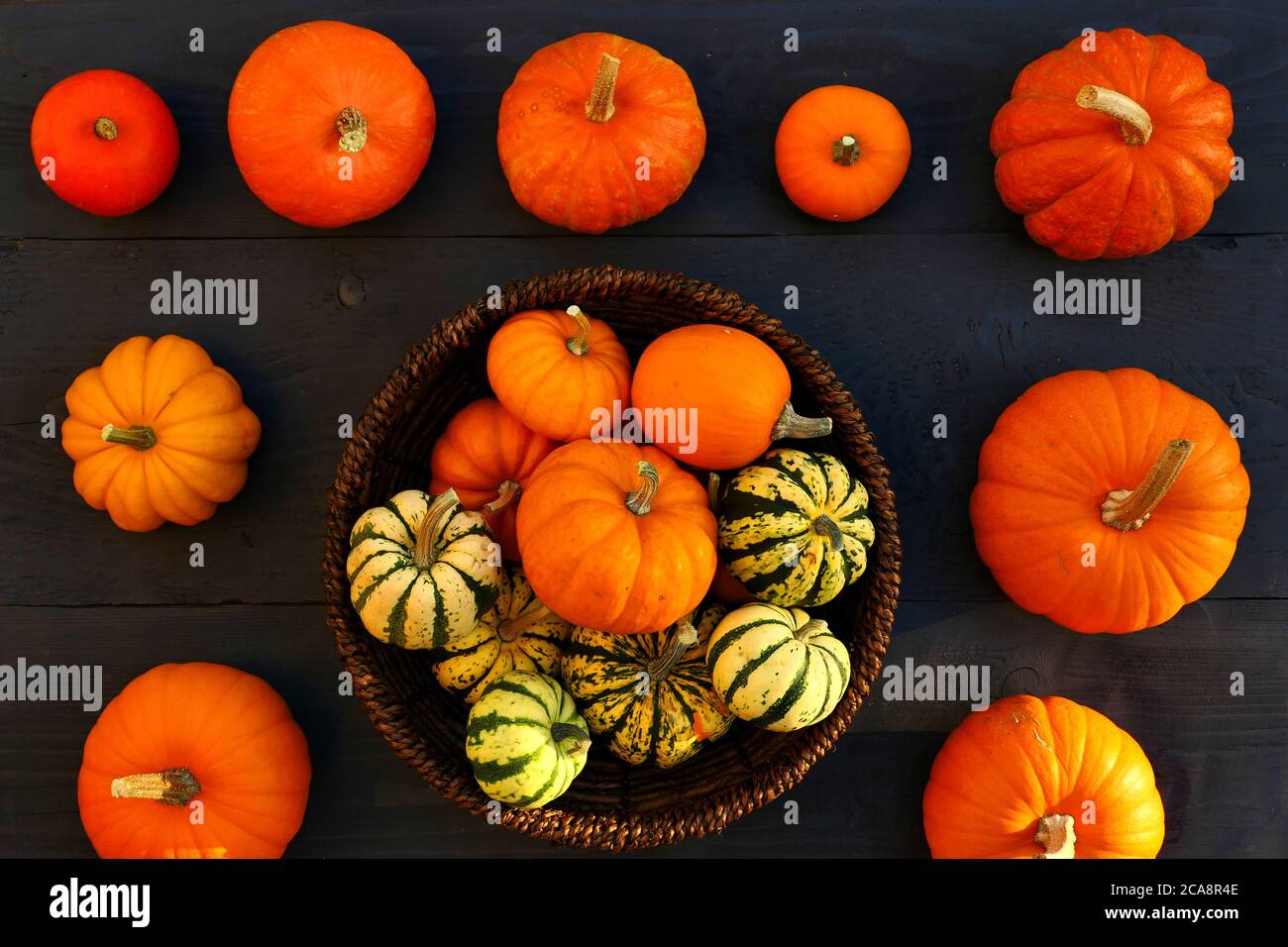 Various pumpkin shapes hi-res stock photography and images - Alamy