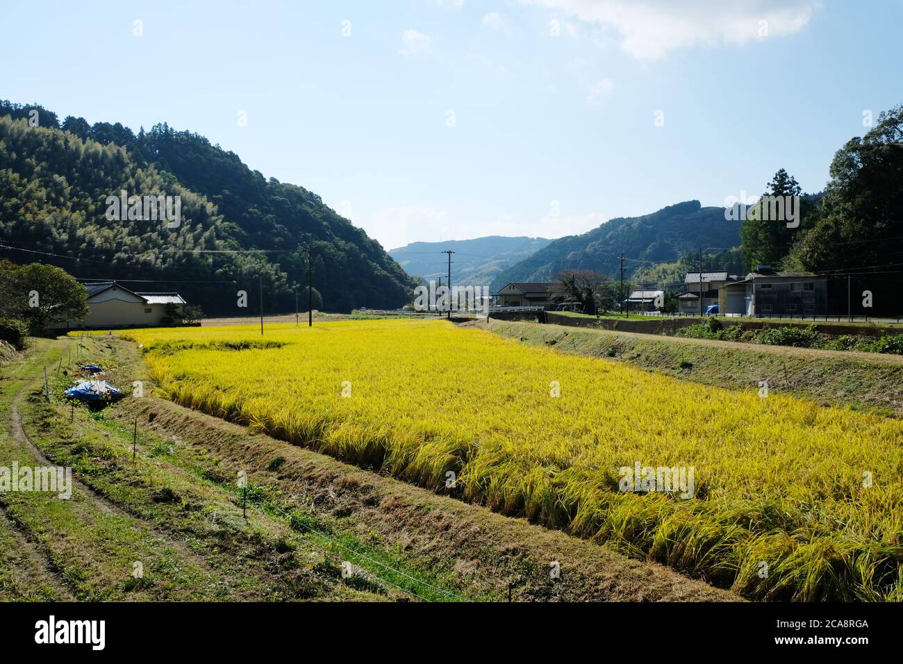 Japanese rice terrace hi-res stock photography and images - Alamy
