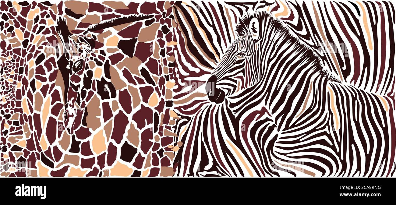 Seamless abstract pattern zebra Cut Out Stock Images & Pictures - Alamy