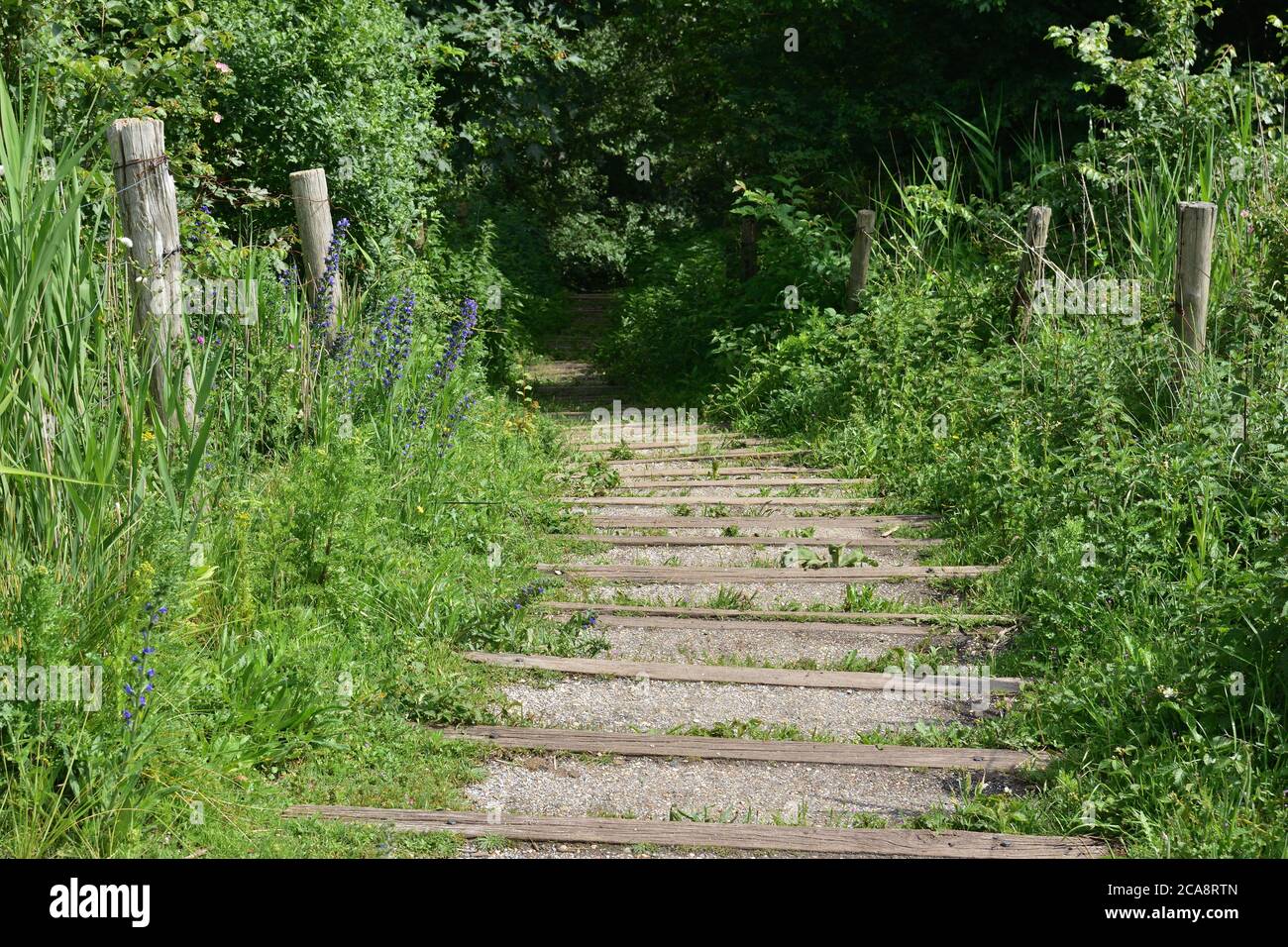 Natural stairs hi-res stock photography and images - Alamy