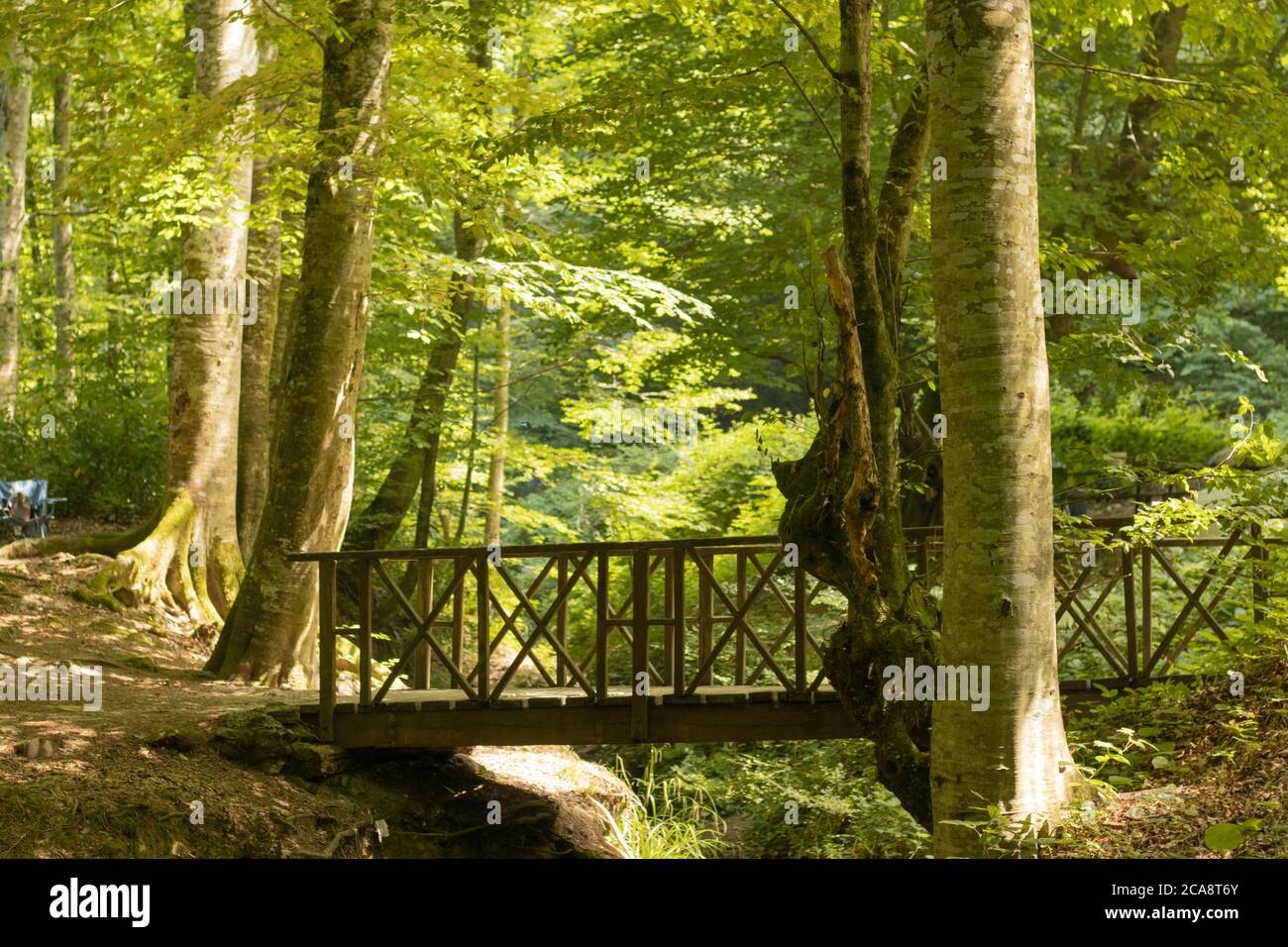 small wooden bridge over the creek in the forest Stock Photo - Alamy