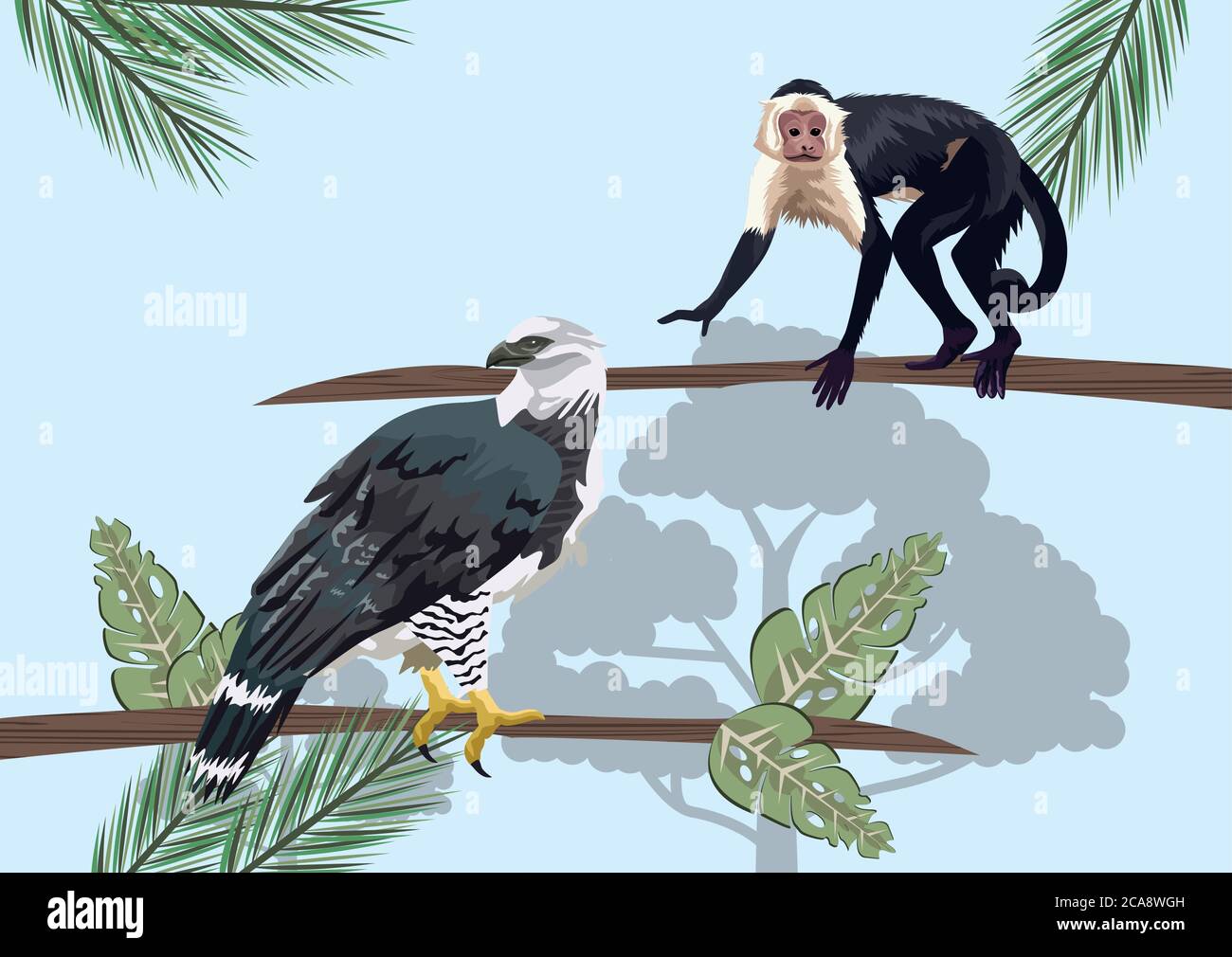 monkey and eagle animals wild in the jungle vector illustration design ...