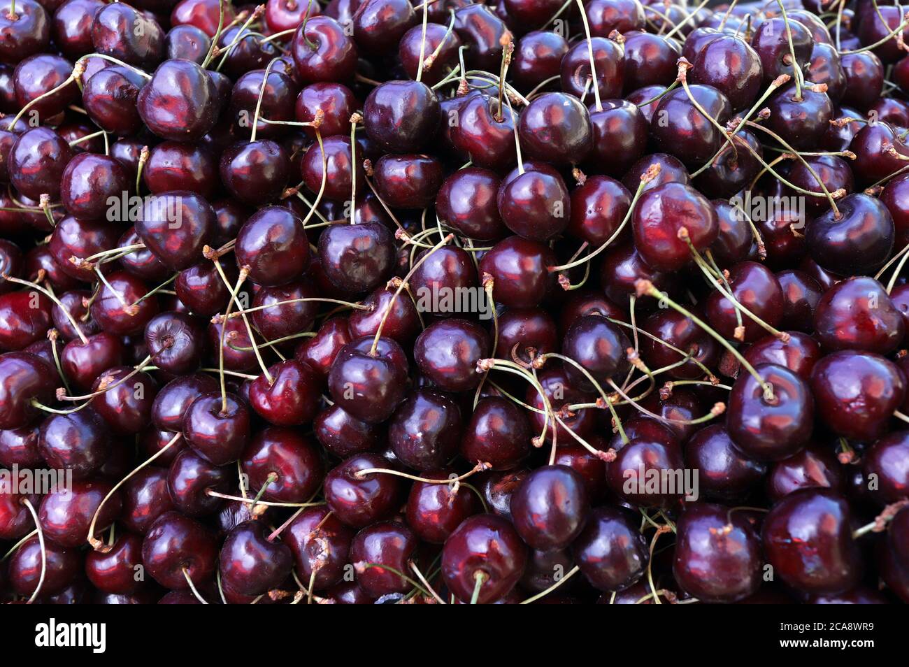 Dark cherries pattern. Fruits background Stock Photo - Alamy