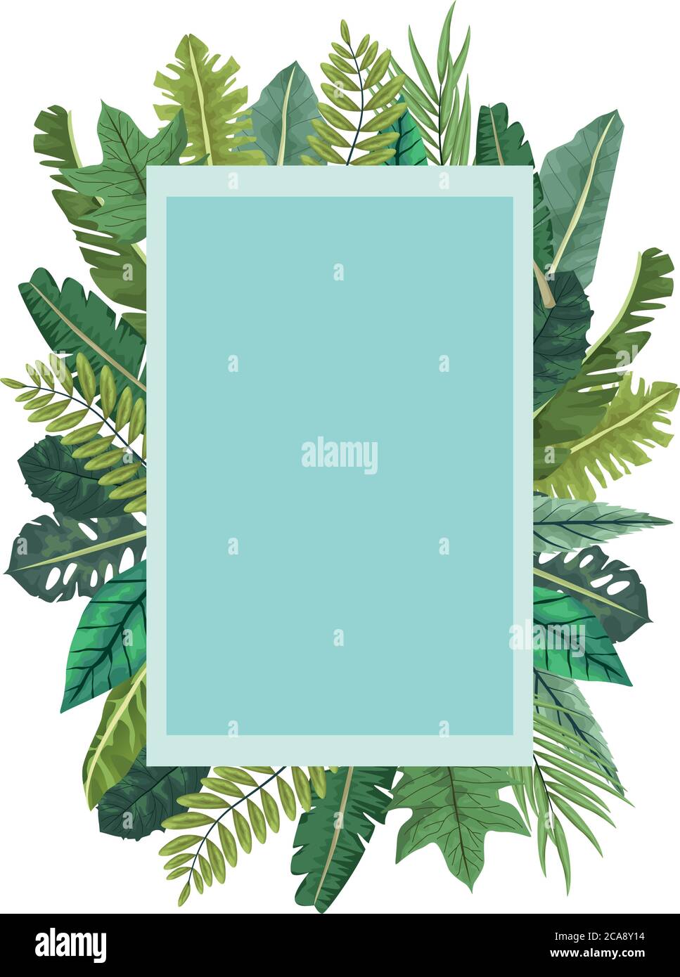 tropical leafs palm nature square frame vector illustration design ...