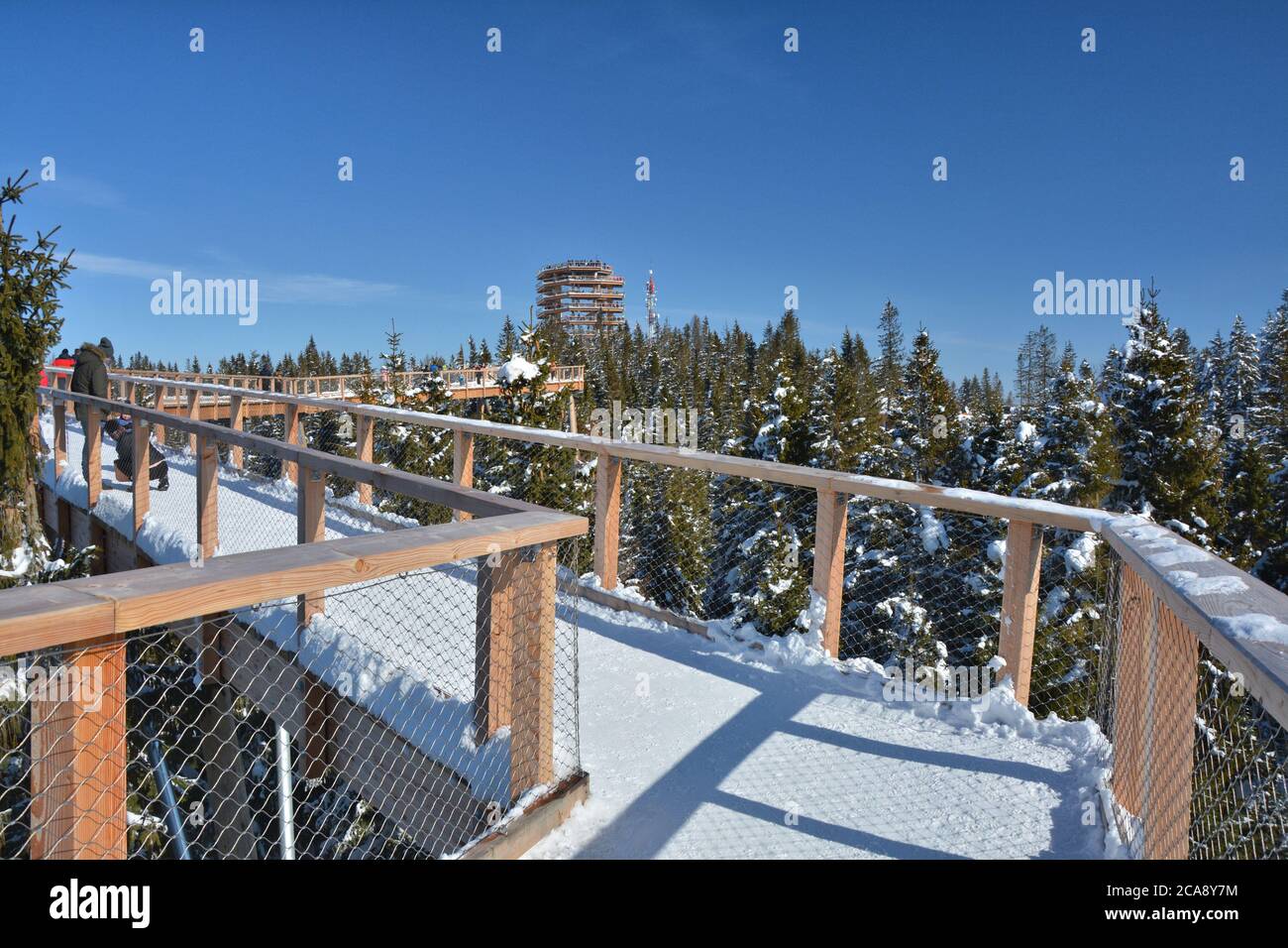 The treetop walk Bachledka in Bachledova valley in Slovakia Stock Photo ...