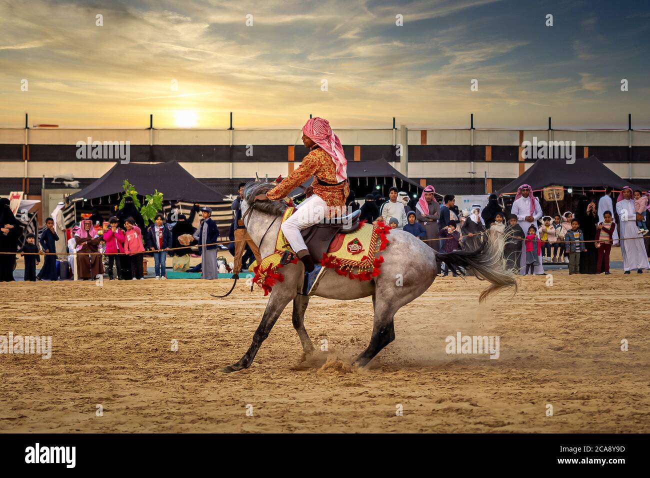 Saudi Arab Horse rider on traditional desert safari festival in abqaiq ...