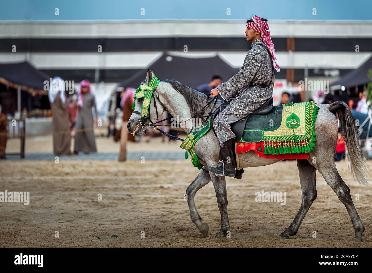 Saudi Arab Horse riders with their horse on traditional desert safari ...