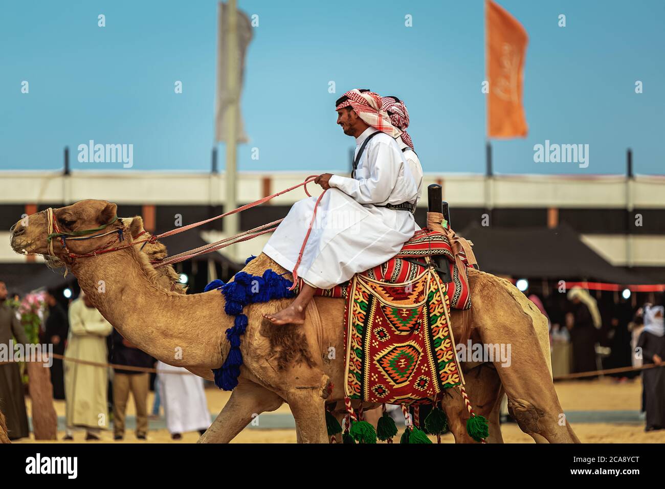 Saudi Arab Camel riders with their camel on traditional desert safari ...