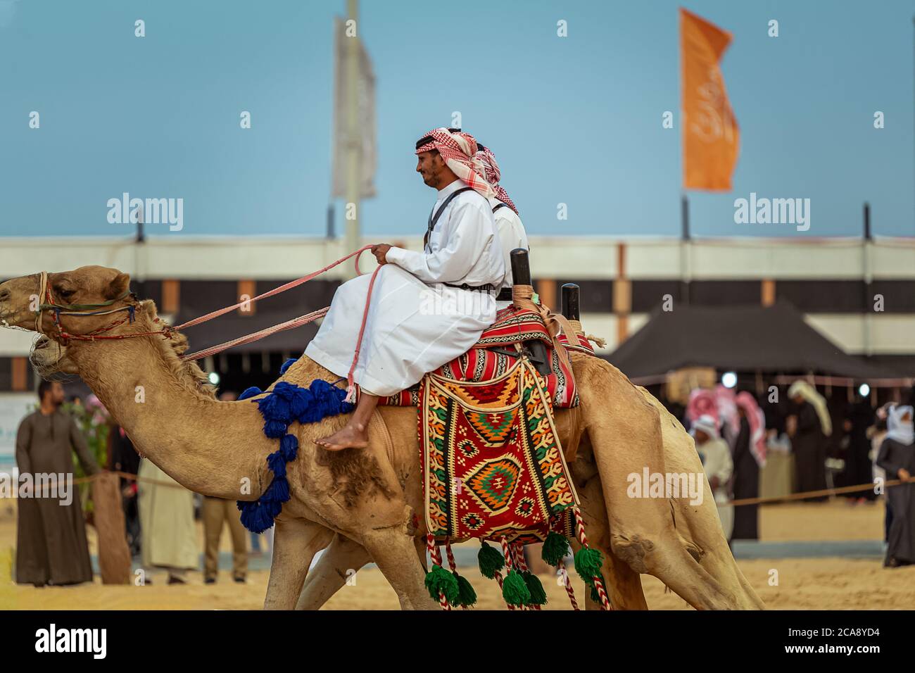 Camel on the desert hi-res stock photography and images - Alamy