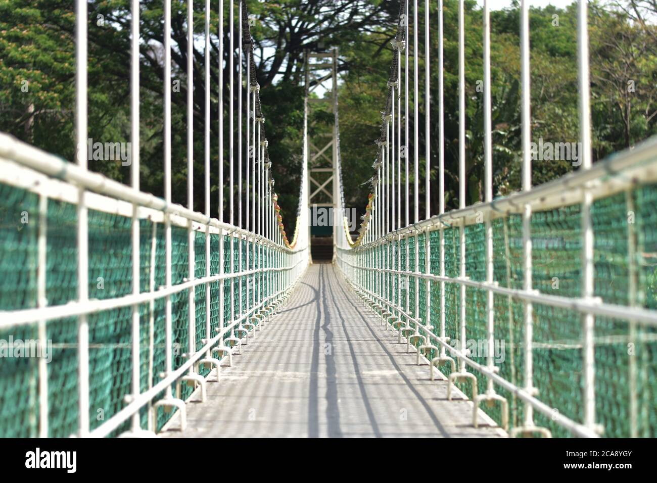 Trekking inside forest hi-res stock photography and images - Alamy