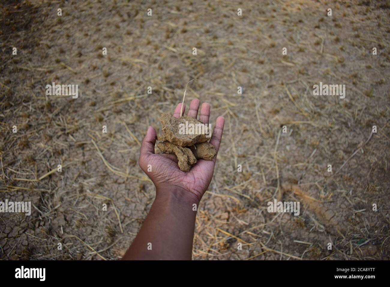 A man holding some pieces of dried up farm land soil in his hand. Life ...