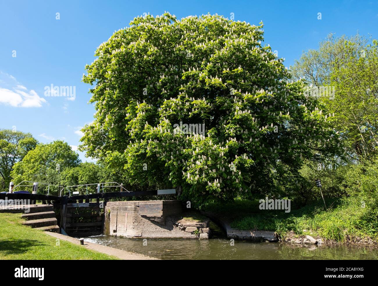 Canal exploration scene hi-res stock photography and images - Alamy