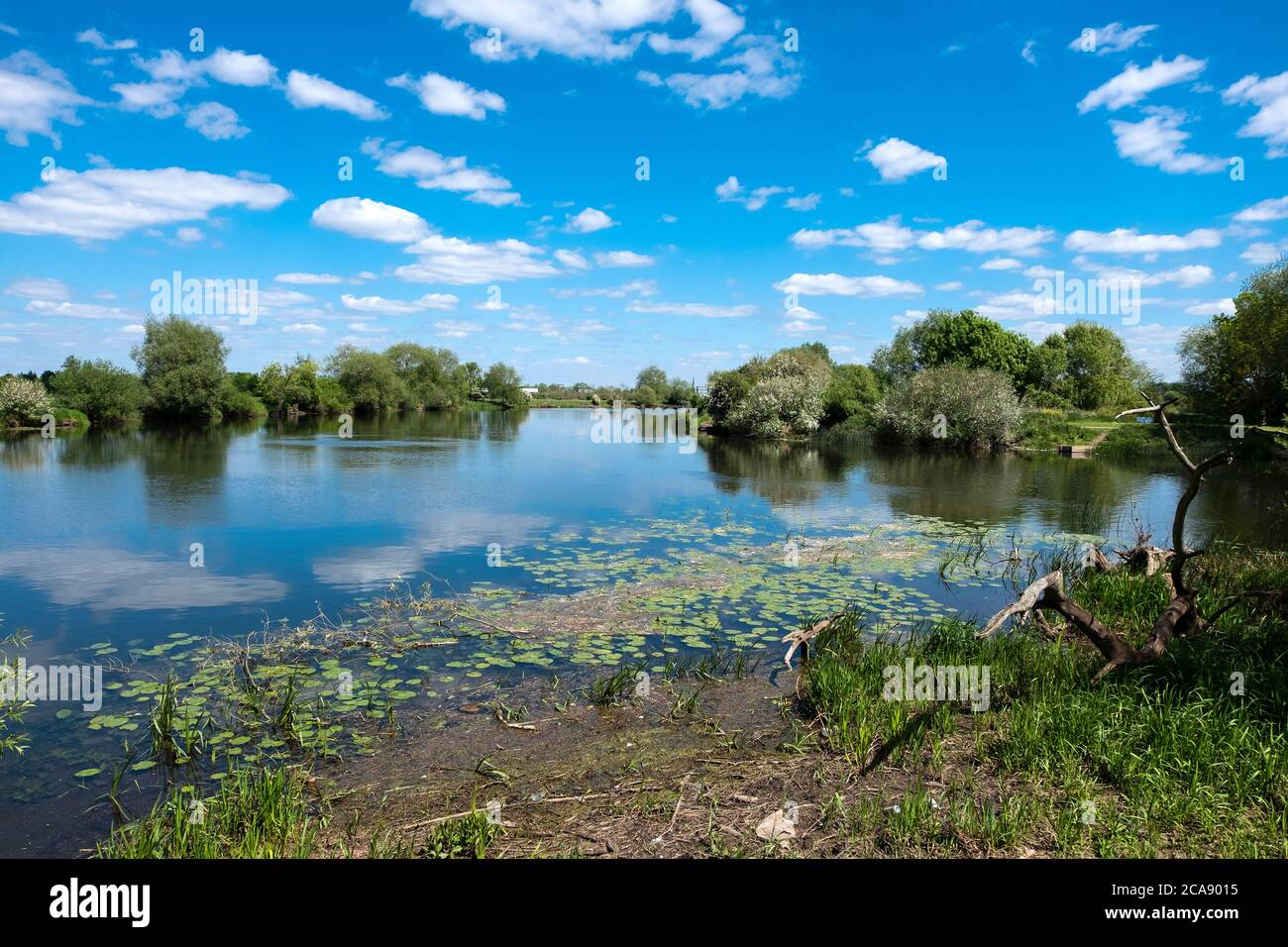 Summer river scene Stock Photo - Alamy