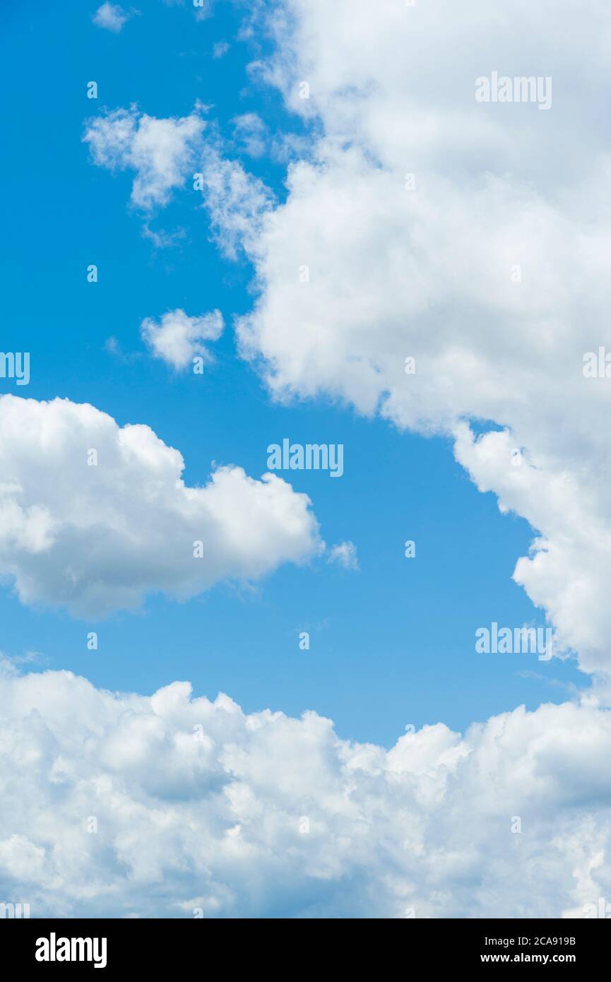 Vertical shot gorgeous bright hi-res stock photography and images - Alamy