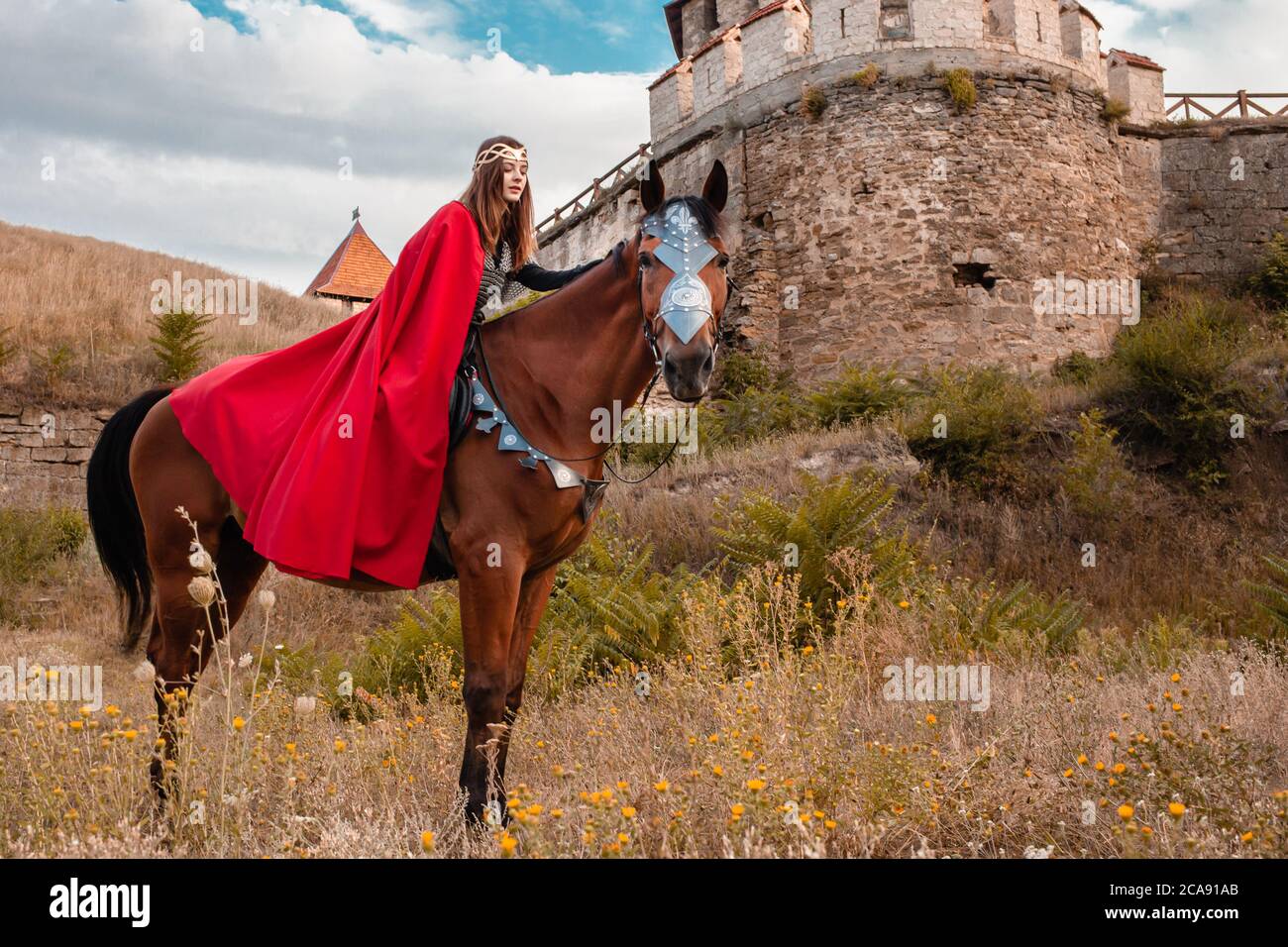 A beautiful girl with a sword in a medieval fantasy suit. A woman in a ...