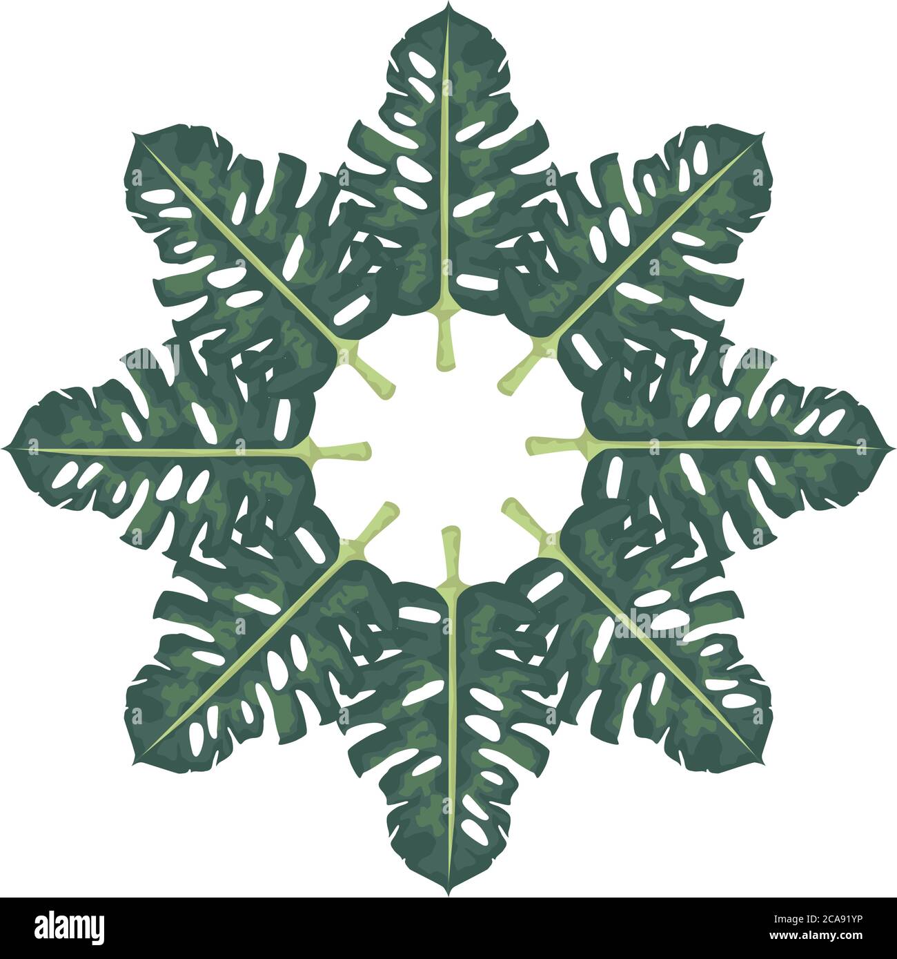 tropical leafs palm nature circular decoration vector illustration ...