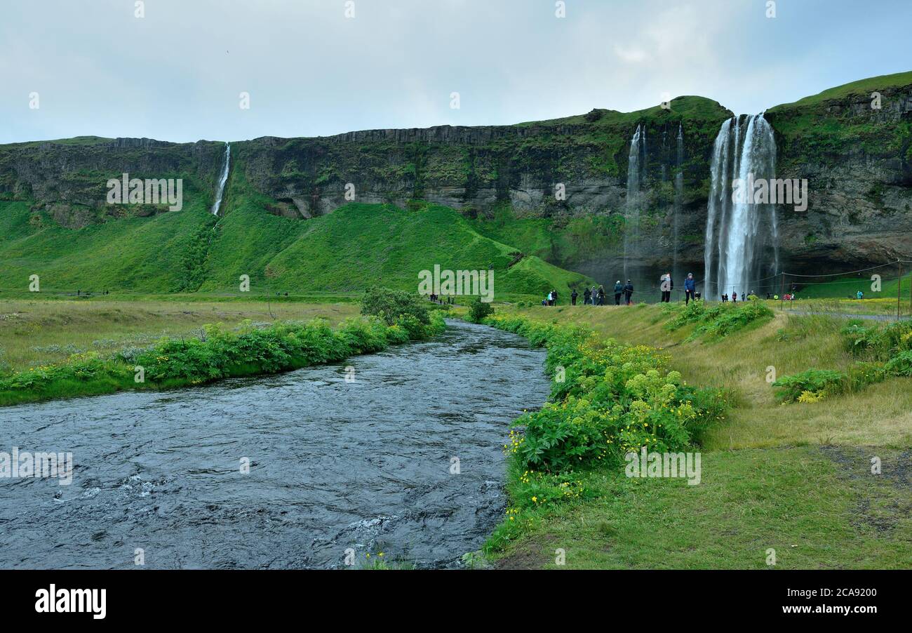 GREEN LANDSCAPES FROM ICELAND. MEADOWS, WATERFALLS, SOLITARY CHURCHES ...