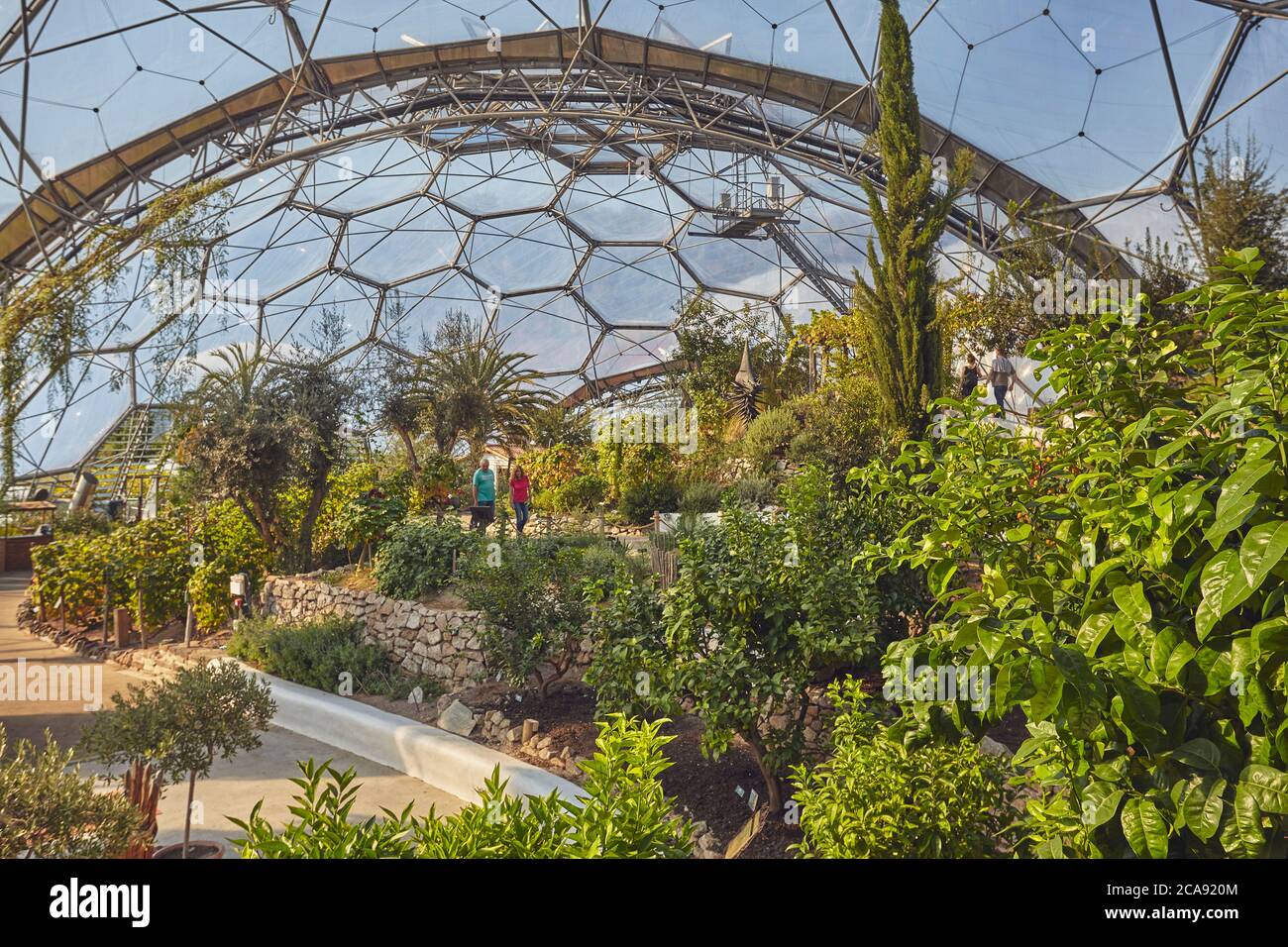 A view inside the Mediterranean Biome, covered by its huge dome, at the ...