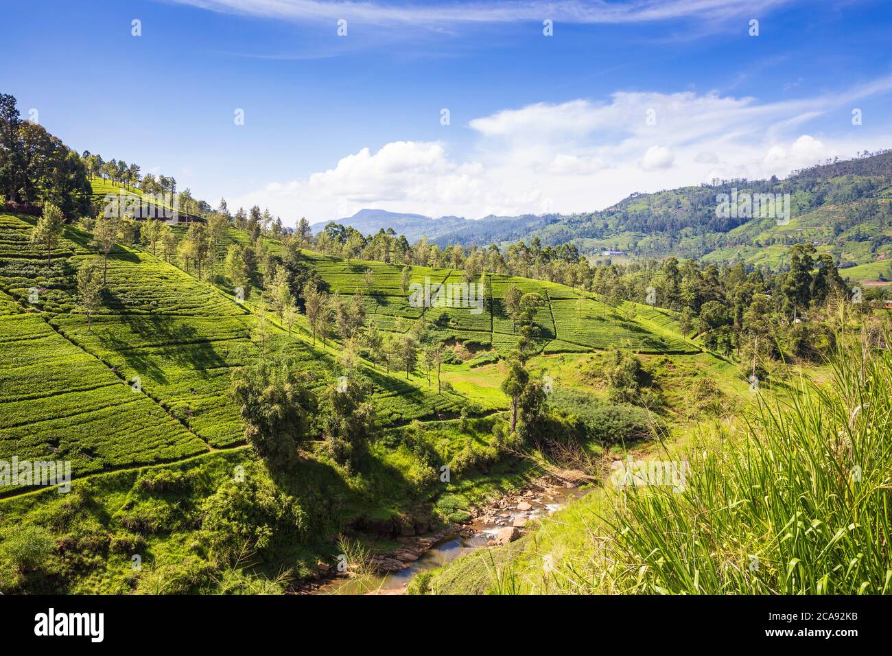 Castlereagh sri lanka hi-res stock photography and images - Alamy