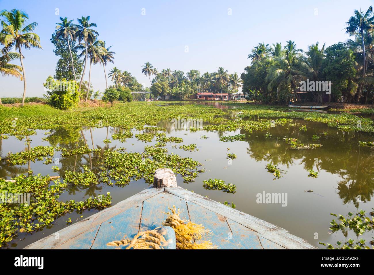 Backwaters, Alappuzha (Alleppey), Kerala, India, Asia Stock Photo - Alamy