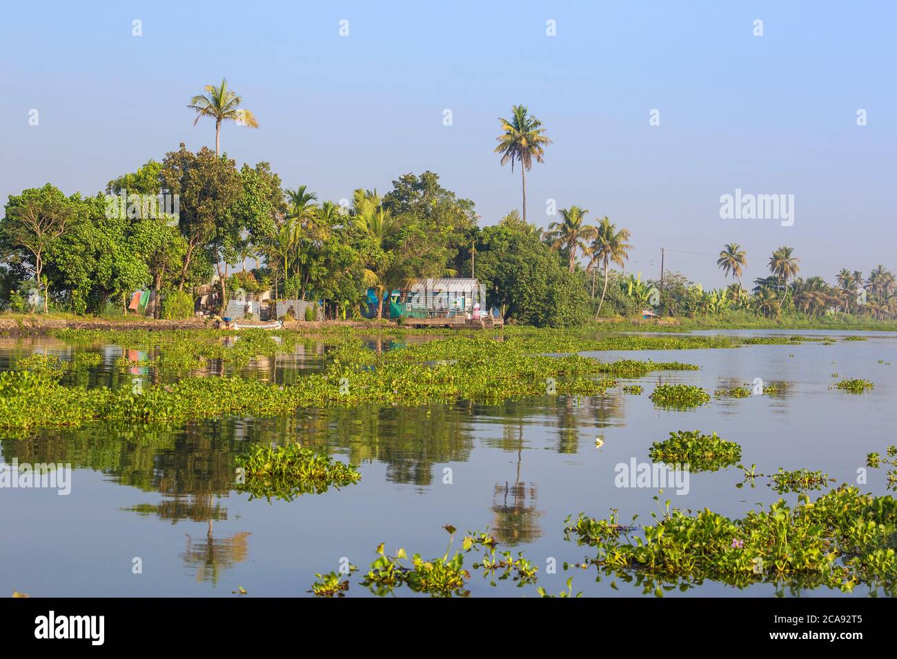 Backwaters, Alappuzha (Alleppey), Kerala, India, Asia Stock Photo - Alamy