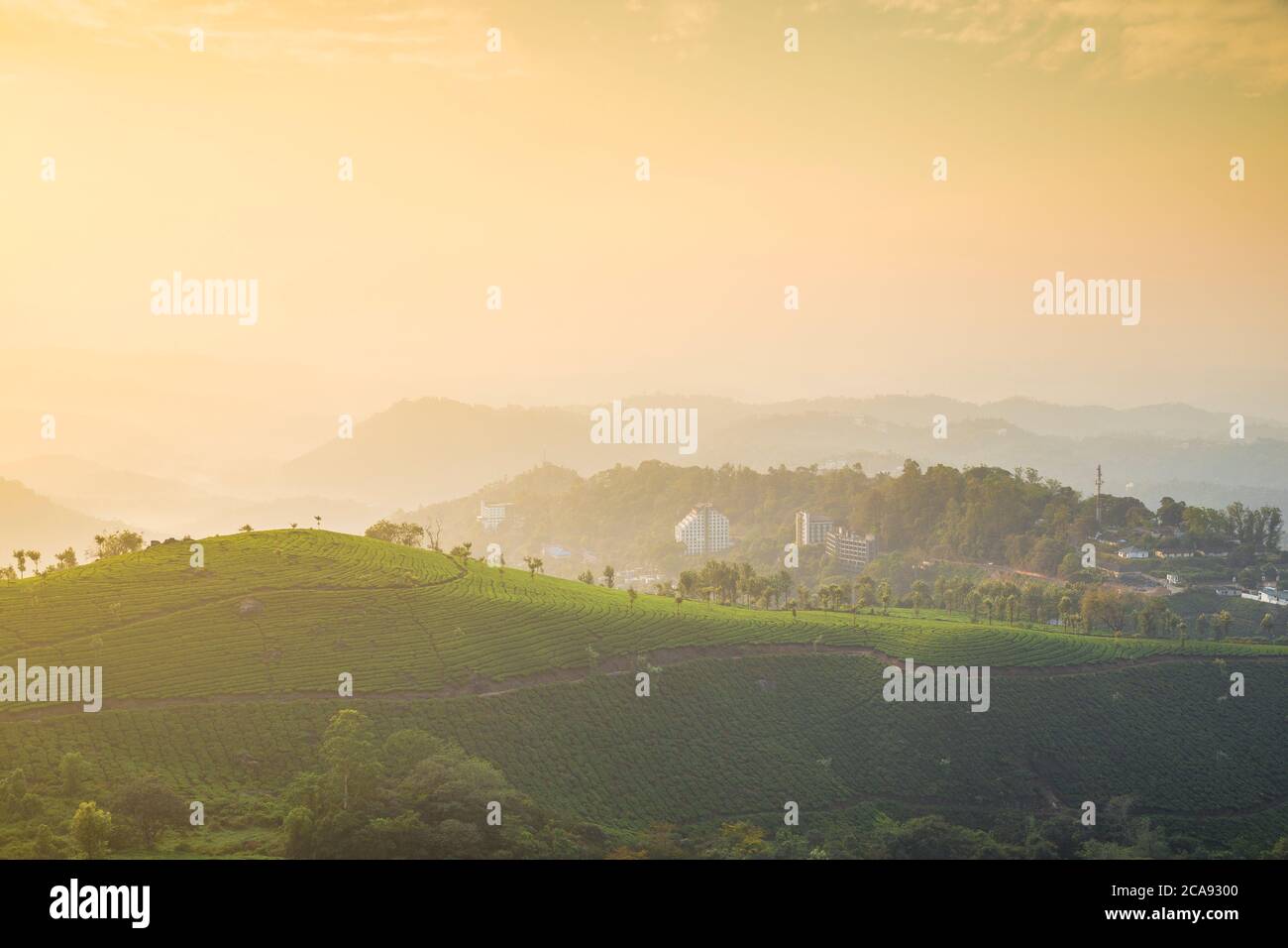 View Over Tea Estates At Sunrise Munnar Kerala India Asia Stock