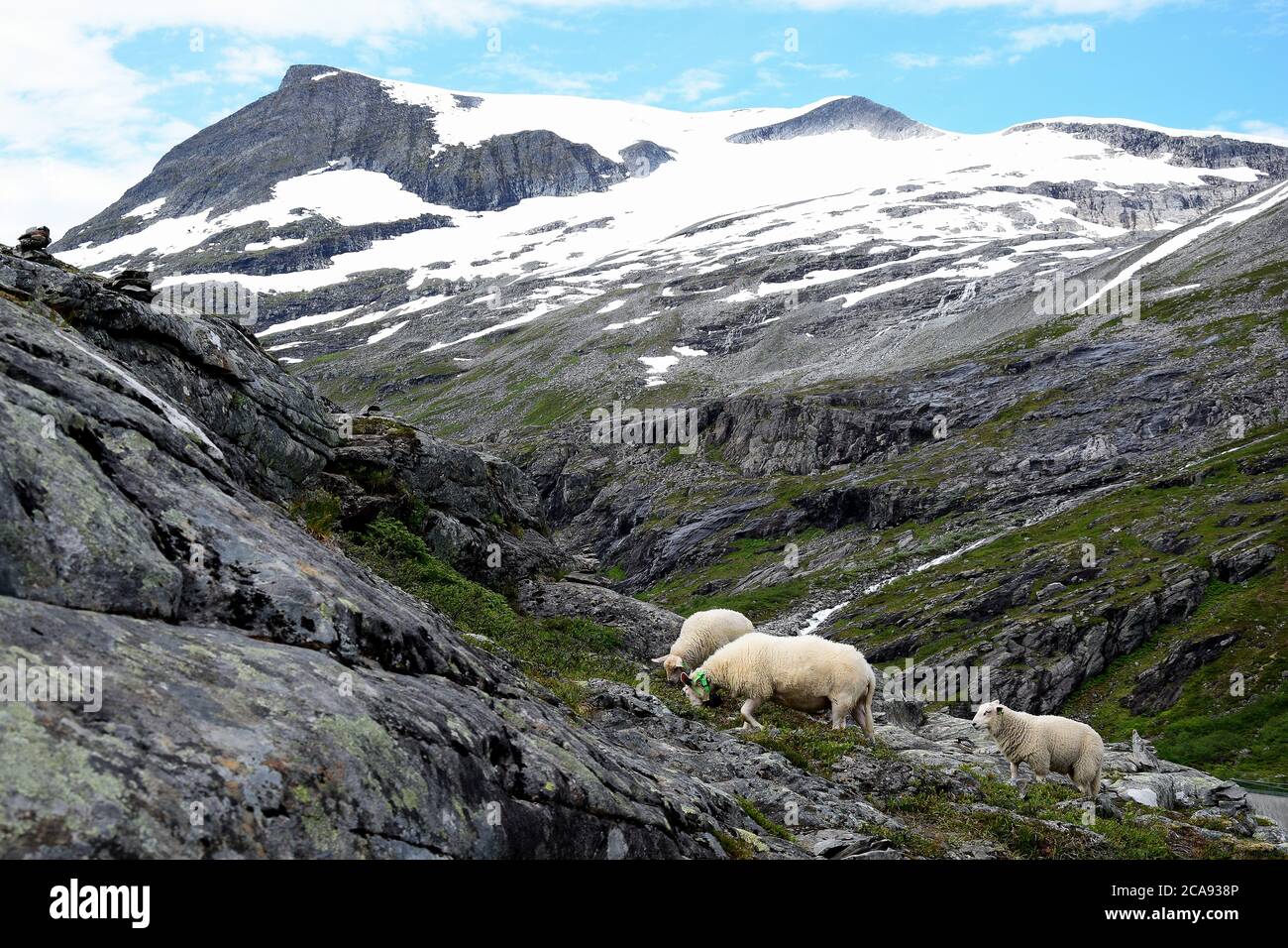 NORWEGIAN LANDSCAPES WITH WOODS, MOUNTAINS AND FJORDS Stock Photo - Alamy
