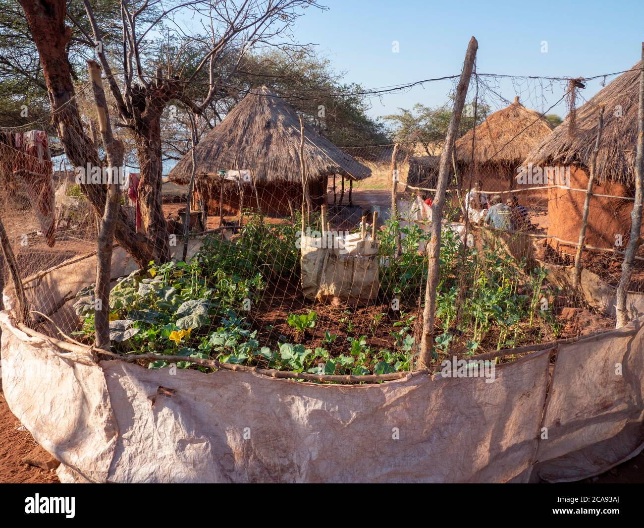 A vegetable garden in the fishing village of Musamba, on the shoreline ...