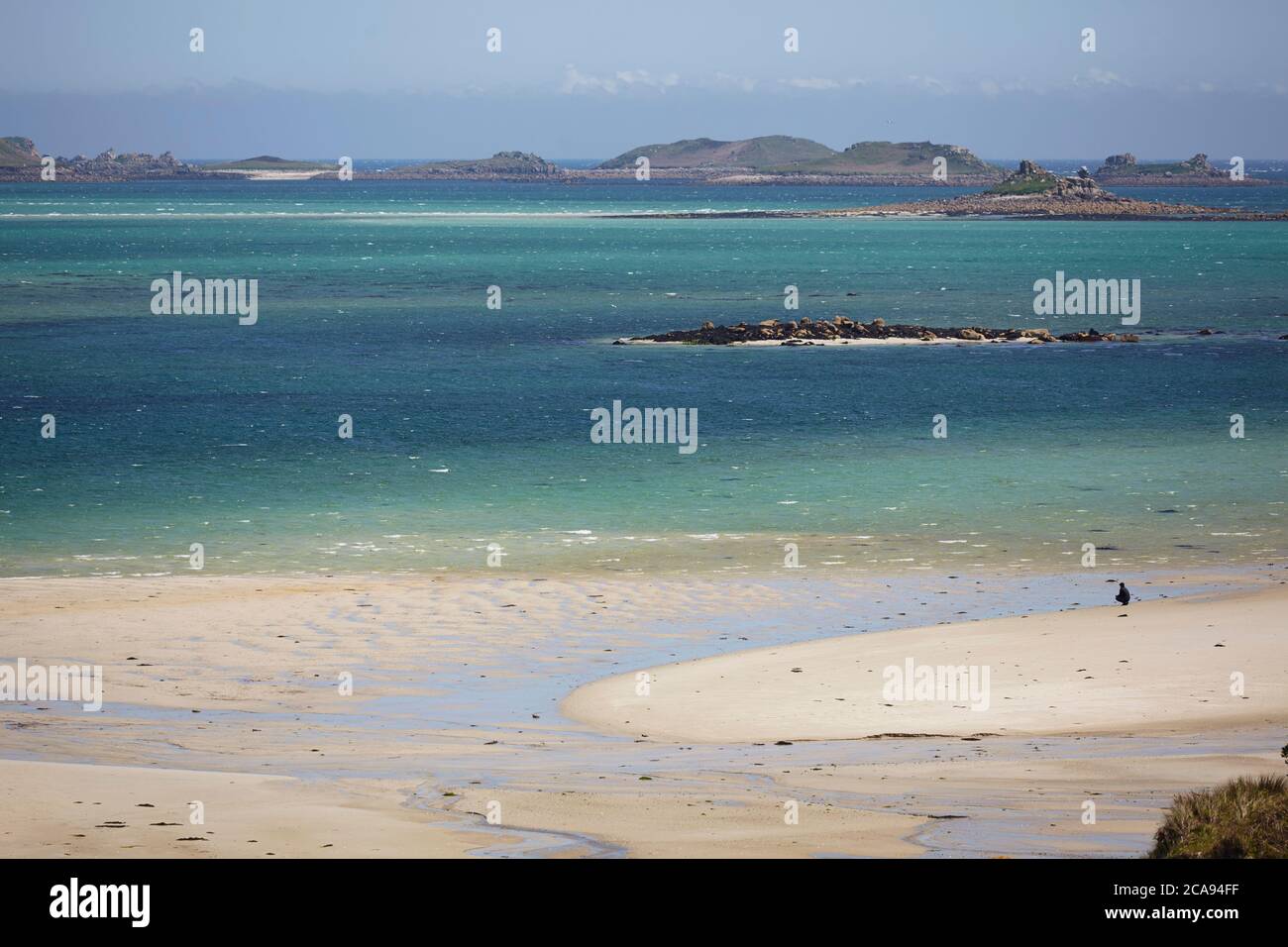 The magnificent sands of Pentle Bay, on the island of Tresco, with a ...