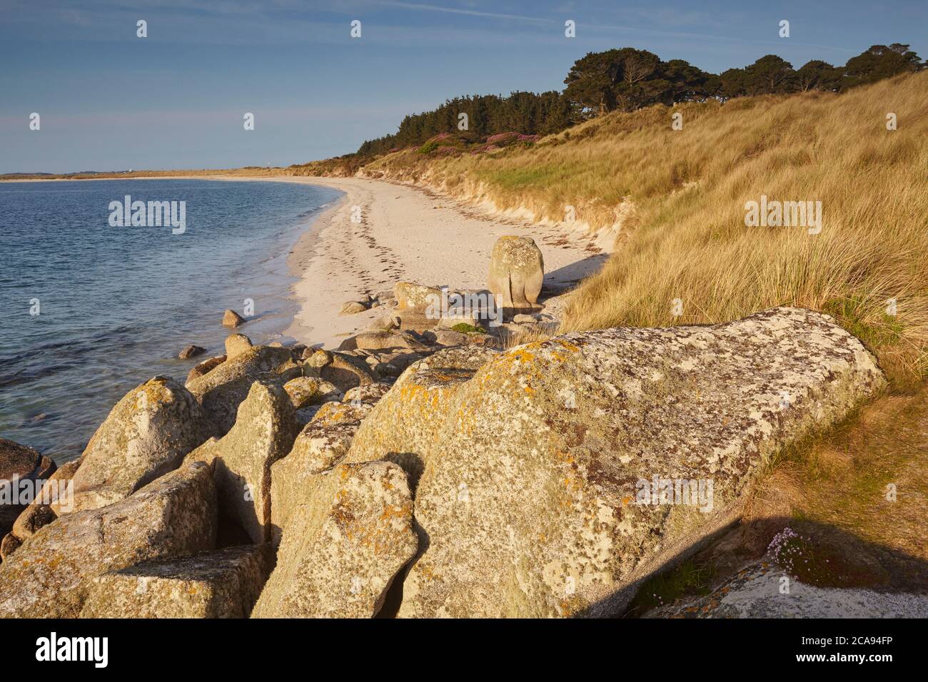 The magnificent sands of Pentle Bay, on the island of Tresco, Isles of ...