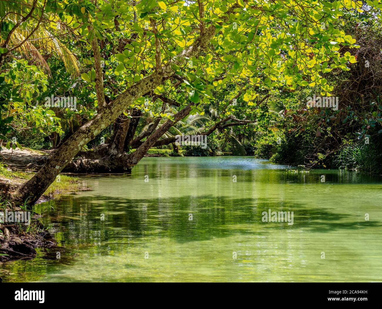 Portland rivers hi-res stock photography and images - Alamy