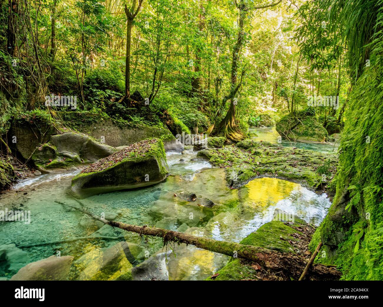 Reach Falls River, Portland Parish, Jamaica, West Indies, Caribbean ...