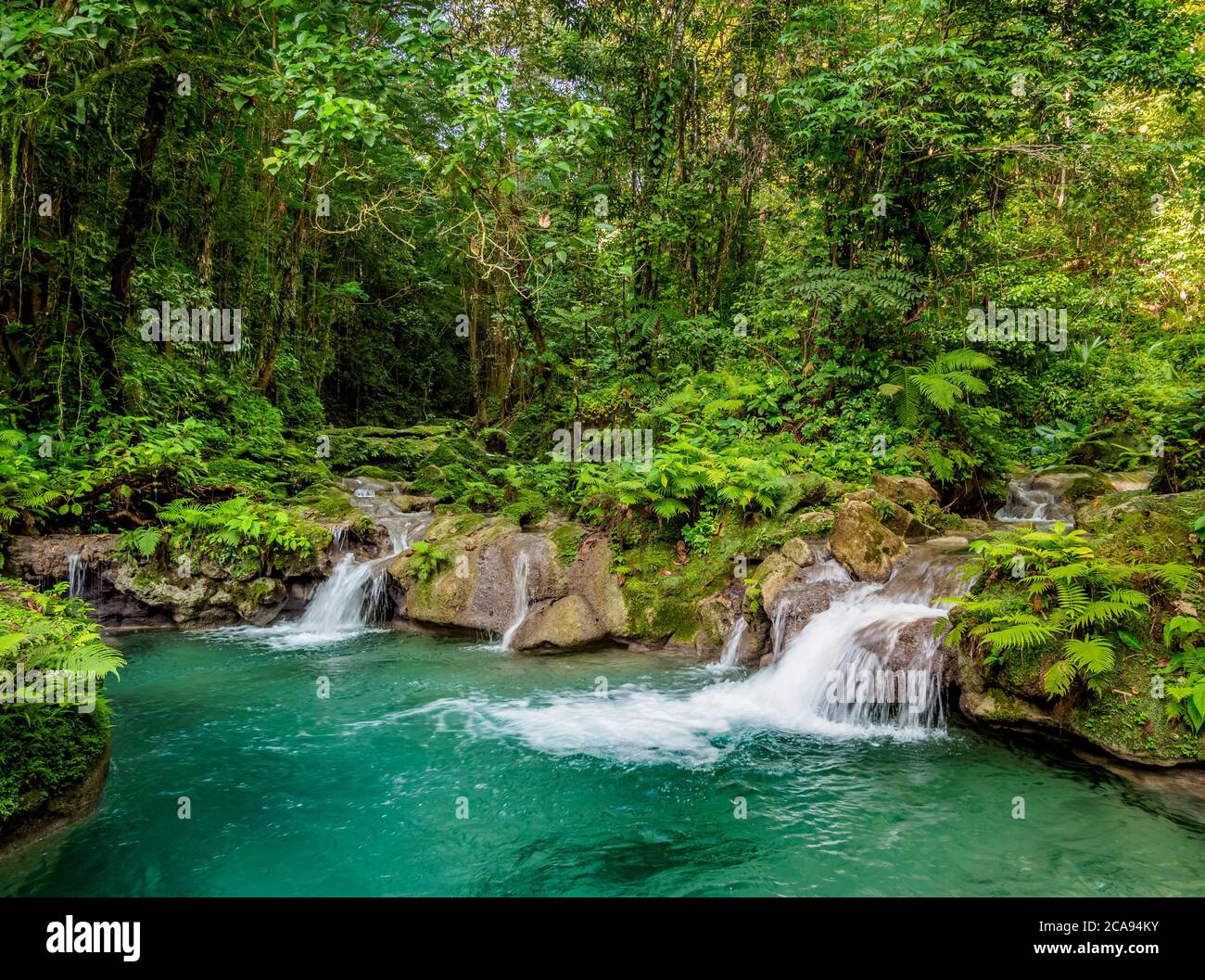 Reach Falls, Portland Parish, Jamaica, West Indies, Caribbean, Central ...