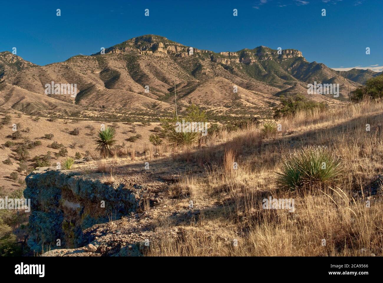 Atascosa Mountains at Sonoran Desert seen from Ruby Road near Mexican ...