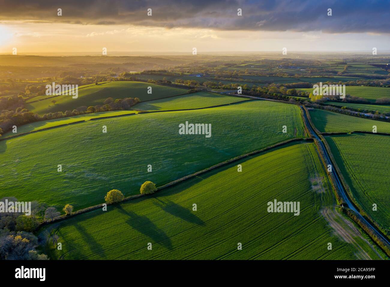 Aerial photo of rolling countryside in evening light, Livaton, Devon ...