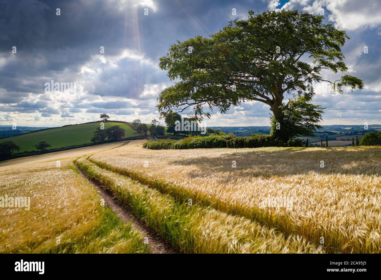 Windswept Europe High Resolution Stock Photography and Images - Alamy