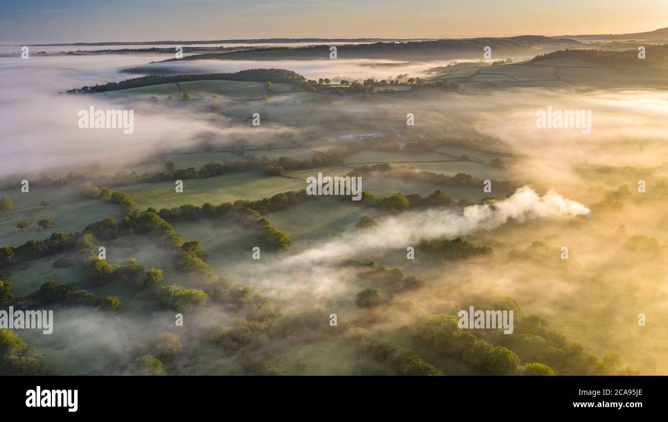 Mist shrouded countryside at dawn in spring, Coryton, Devon, England ...