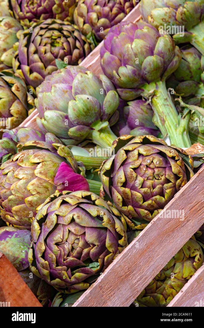 Regola rome hi-res stock photography and images - Alamy