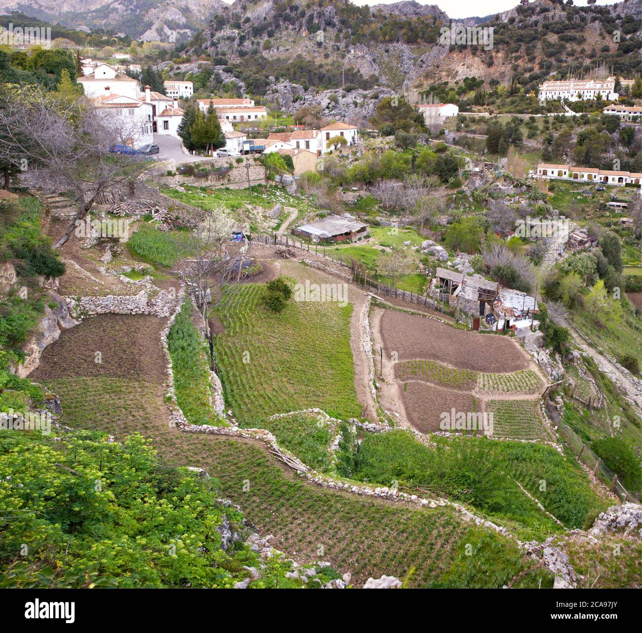 Roman Farming High Resolution Stock Photography and Images - Alamy