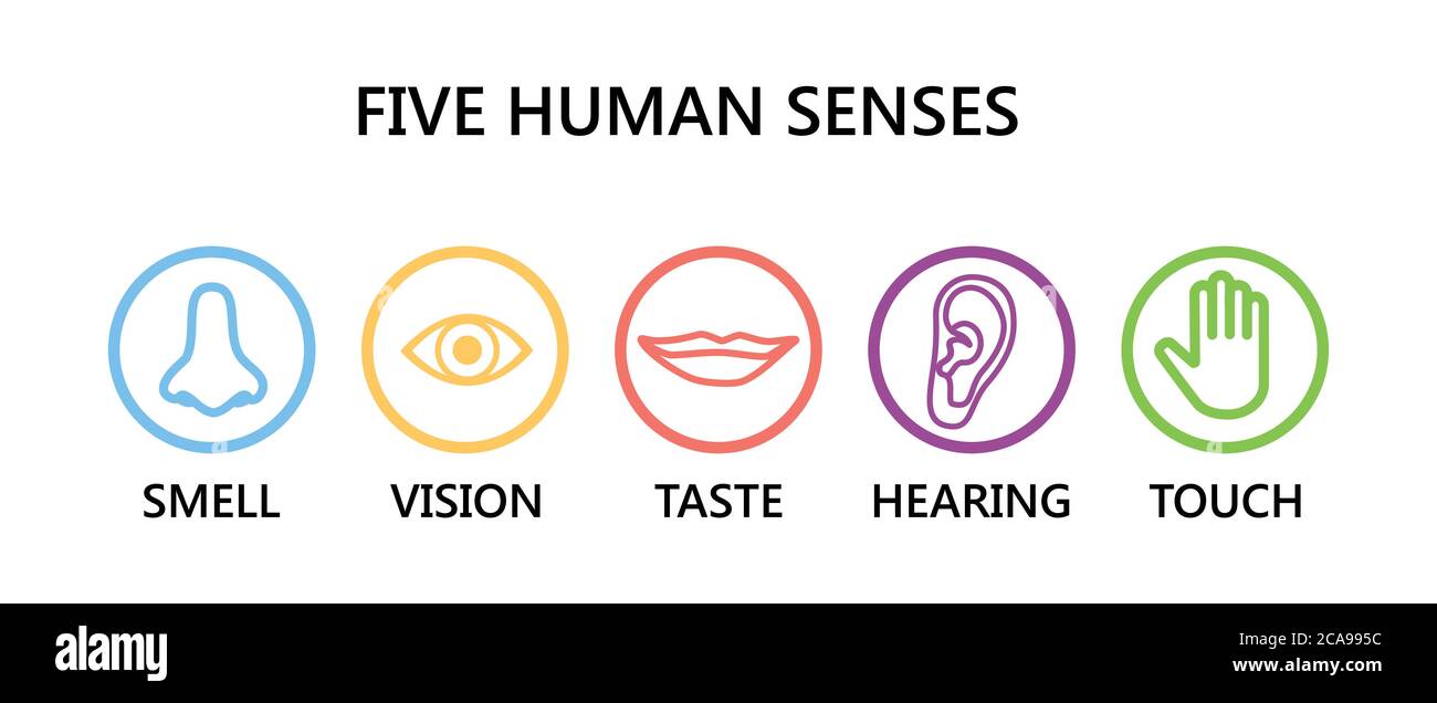 Icon set of five human senses: vision (eye), smell (nose), hearing (ear ...