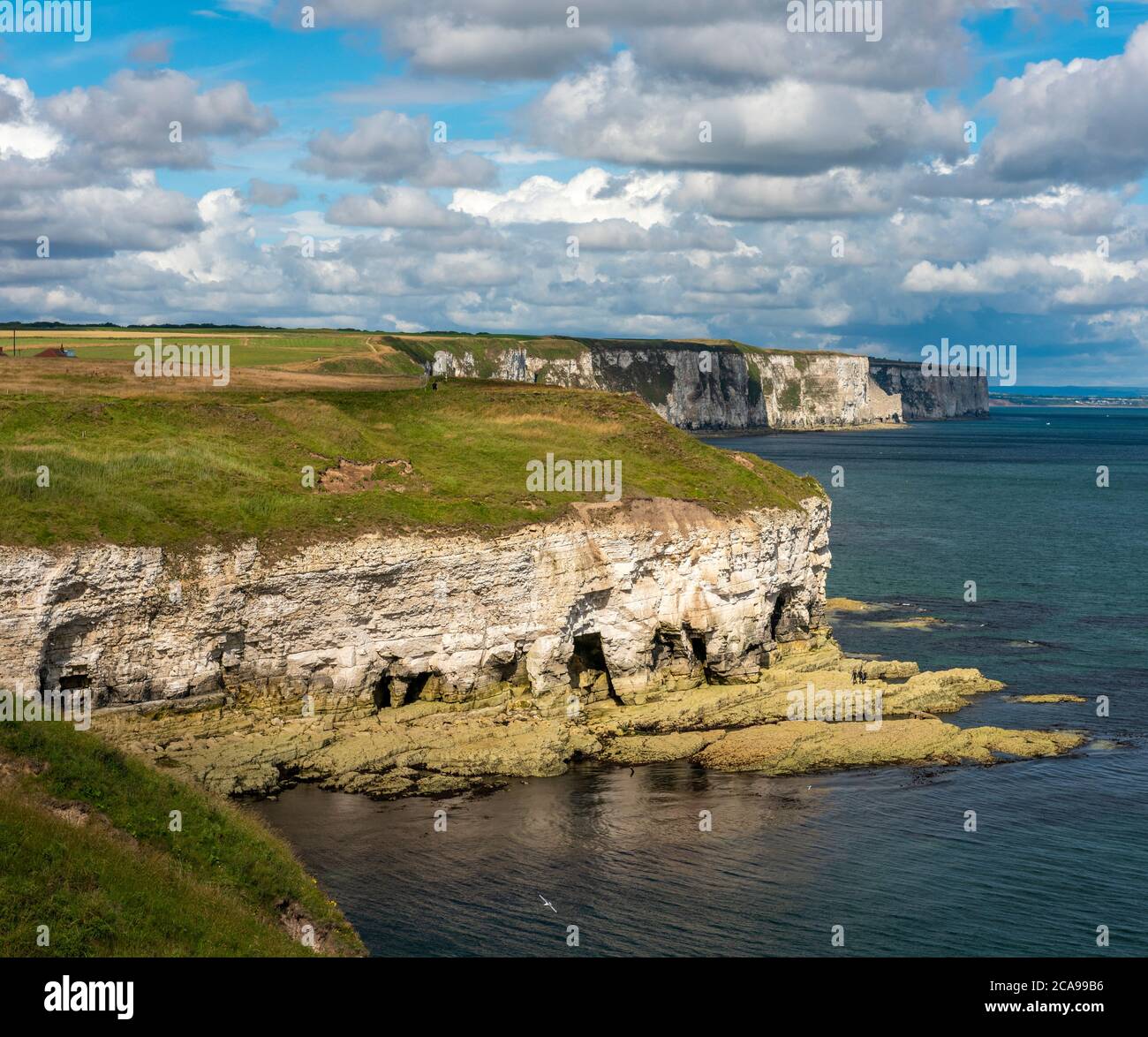 Sunny morning at flamborough head hi-res stock photography and images ...