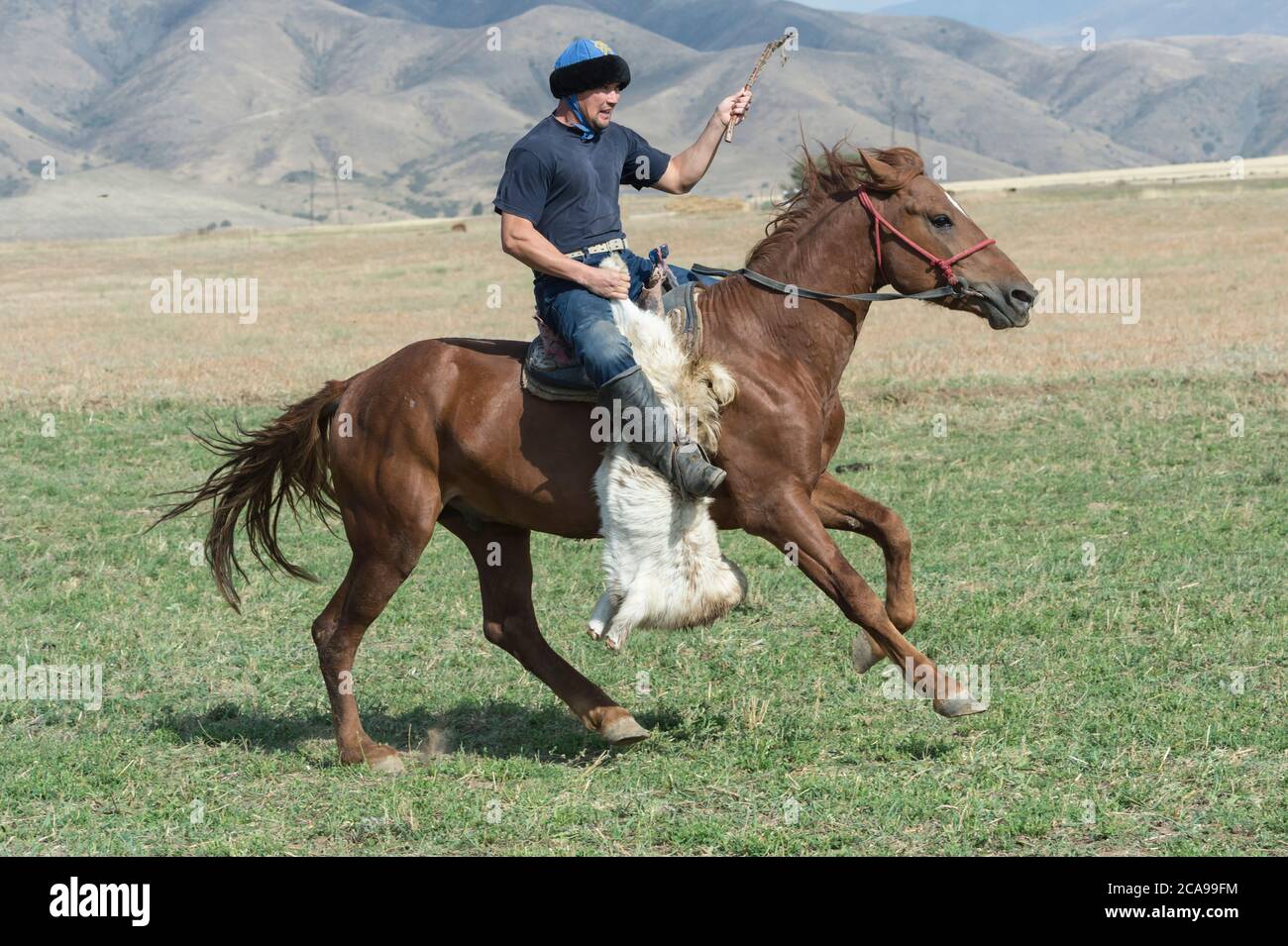 Traditional Kokpar or buzkashi in the outskirts of Gabagly national ...