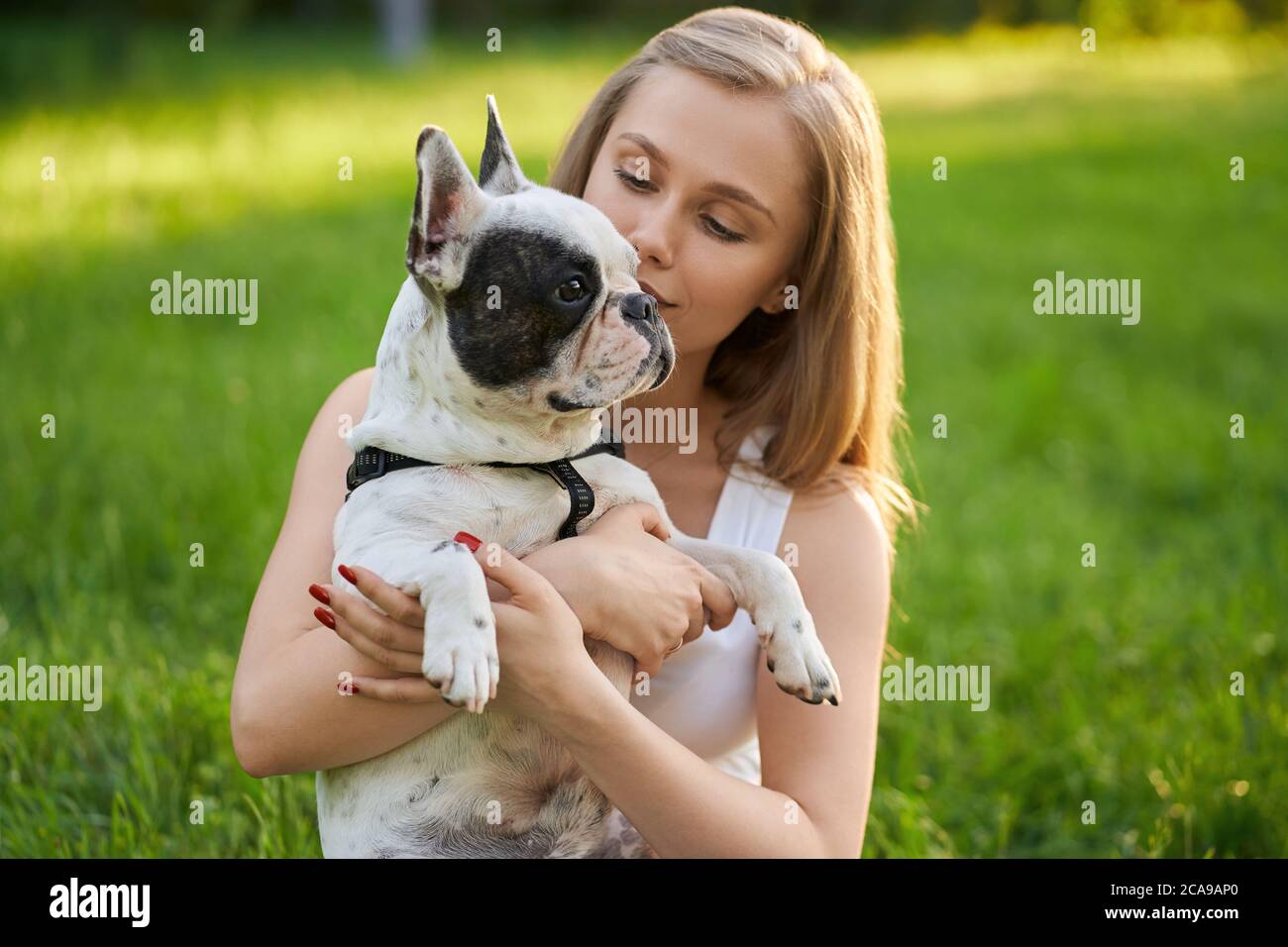 Portrait of caucasian young woman holding adult french bulldog in ...