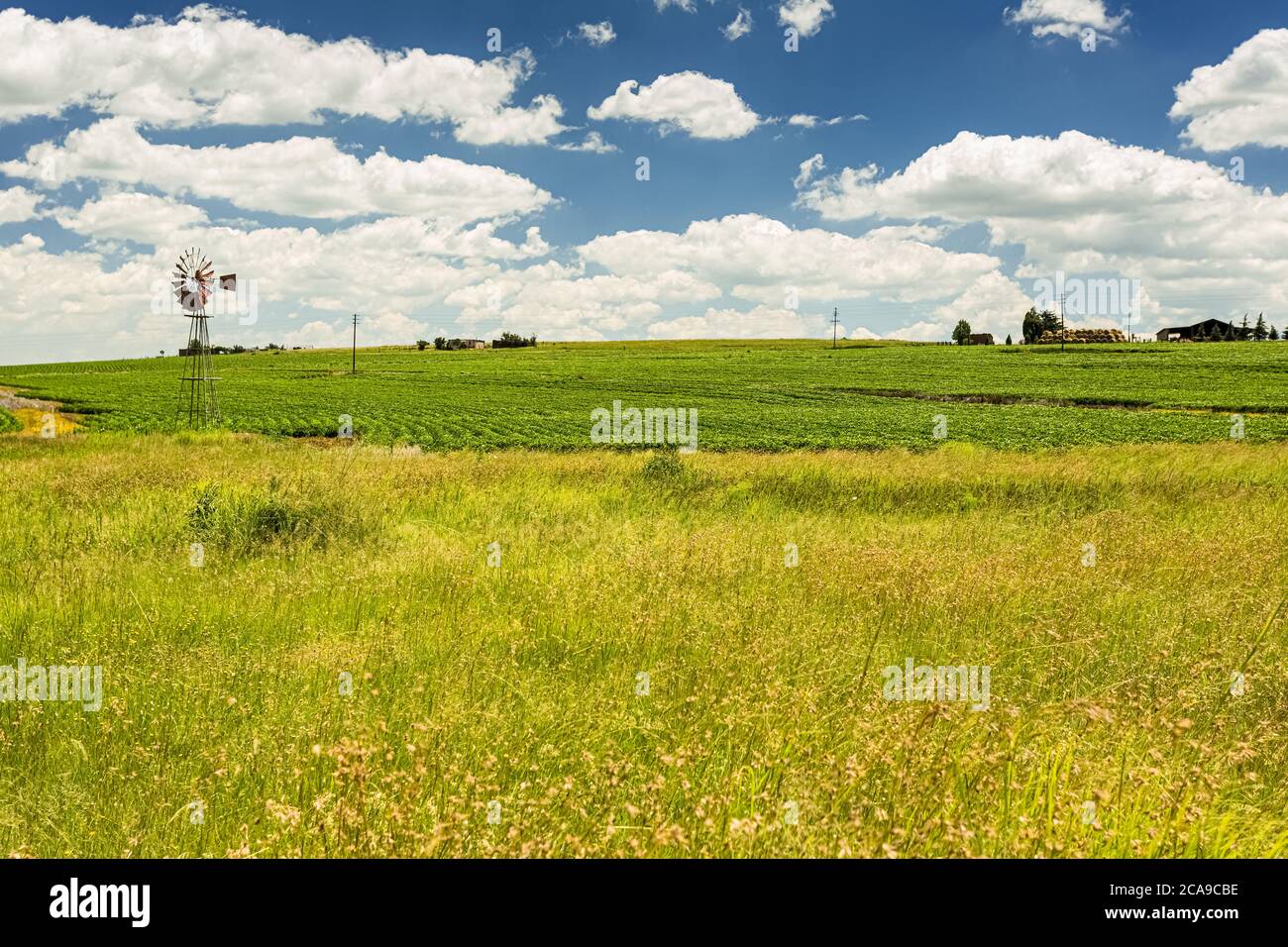 Highveld hi-res stock photography and images - Alamy