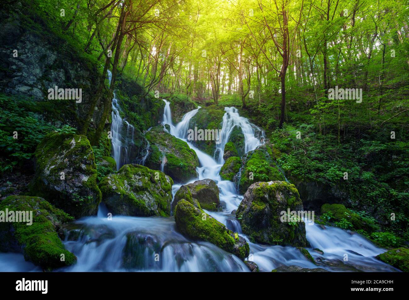 Beautiful waterfall cascade in lush green forest Stock Photo - Alamy